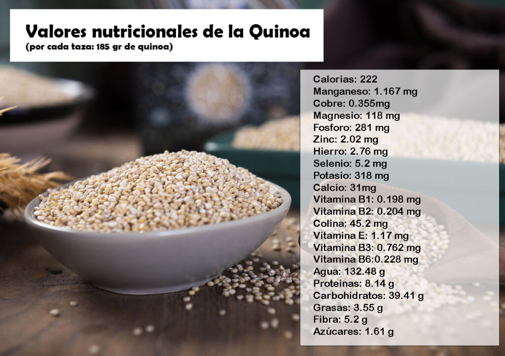 Propiedades de la Quinoa - Mundo Quinoa